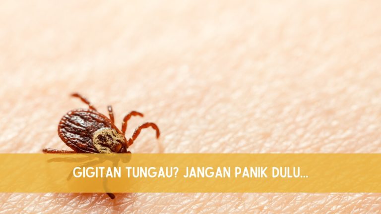 Gigitan Tungau: Bahaya, Gejala, dan Cara Tercepat Mengatasinya